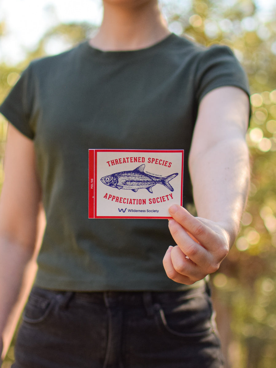 Australian Grayling ‘Threatened Species Appreciation Society’ Sticker ...