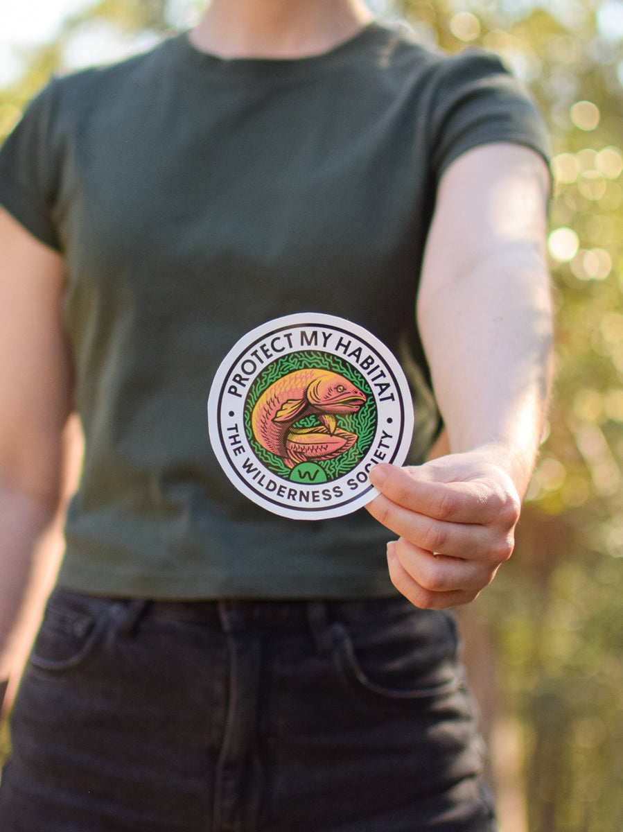 Australian Lungfish ‘Protect My Habitat’ Sticker – The Wilderness Society