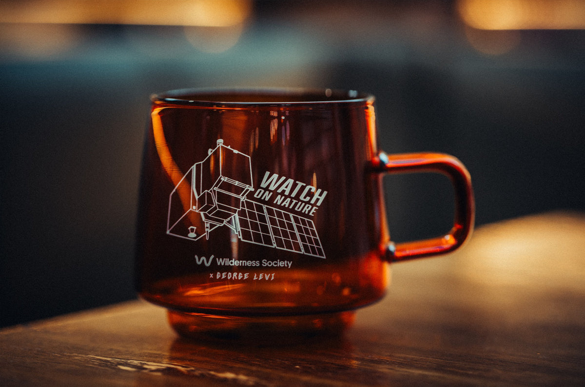 Watch on Nature Satellite Amber Glass Mug – The Wilderness Society